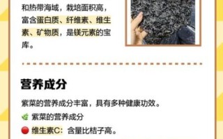 紫菜的功效与作用_紫菜怎么做好吃