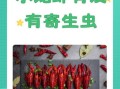 小龙虾寄生虫_如何避免感染