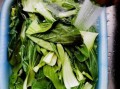 青菜怎么炒好吃_炒青菜的正确步骤