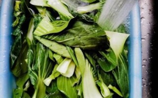 青菜怎么炒好吃_炒青菜的正确步骤