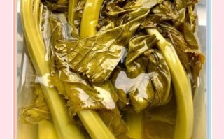 芥菜咸菜怎么做好吃_芥菜咸菜的做法大全