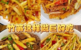 鲜竹笋怎么做好吃_鲜竹笋的做法大全 鲜竹笋怎么做好吃_鲜竹笋的做法大全