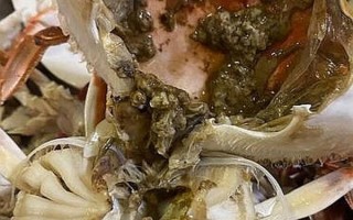螃蟹里黄黄的像屎一样能吃吗_蟹黄和蟹屎的区别