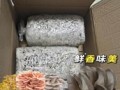室内平菇种植技术_新手如何在家种平菇