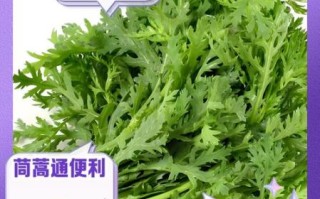 茼蒿怎么读_茼蒿的功效与作用