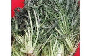 雪里蕻怎么腌制不变黄_雪里蕻腌制发黄怎么办