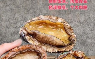 鲍鱼炖蛋怎么做_鲍鱼炖蛋要蒸多久