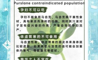 马齿苋菜孕妇可以吃吗_孕期吃马齿苋的风险