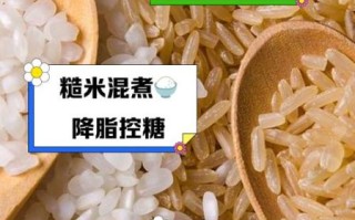 糙米是什么米_糙米和白米的区别