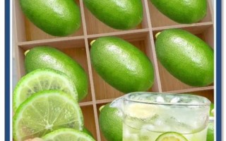 自制柠檬水怎么做_柠檬水可以保存多久