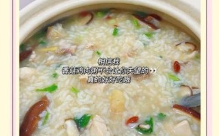 鸡肉粥的做法大全家常_鸡肉粥怎么煮才嫩