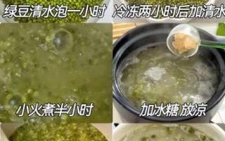 绿豆沙冰怎么做_绿豆沙冰的做法步骤