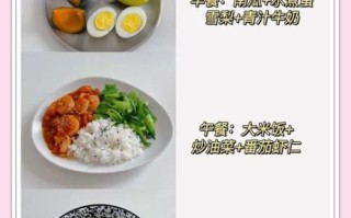 减肥期间吃什么有营养_低卡高蛋白食谱推荐