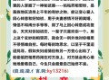 桃花劫是什么意思_如何破解桃花劫