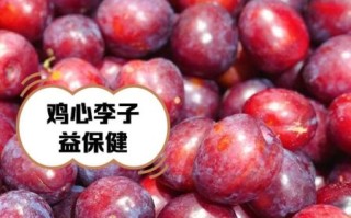 鸡心不能和什么一起吃_鸡心相克食物有哪些