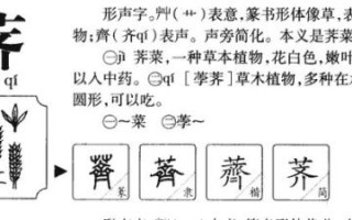 荠怎么读_荠的拼音和意思
