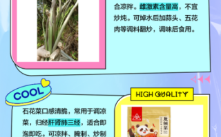 石花菜是什么植物_石花菜和龙须菜的区别