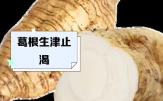 沙葛生吃有毒吗_沙葛生吃怎么去皮