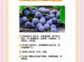葡萄的功效与作用去火吗_上火吃葡萄有用吗