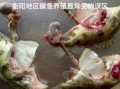 鳜鱼养殖利润怎么样_鳜鱼养殖成本与利润分析