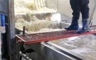 豆芽怎么制作_家庭无土发豆芽方法