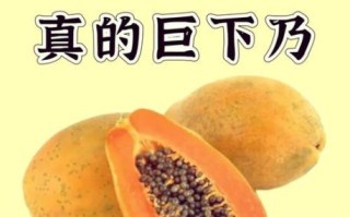 木瓜怎么吃下奶_木瓜下奶的正确吃法