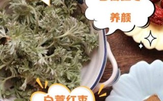 白蒿红枣水的功效与禁忌_白蒿红枣水能天天喝吗