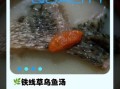 铁线草炖乌鱼汤怎么做_孕妇能喝吗