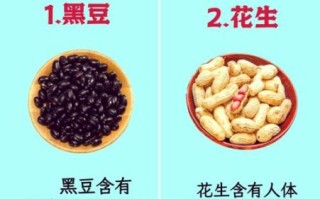 补脑增强记忆力吃什么食物最好_哪些食物提高记忆力最快