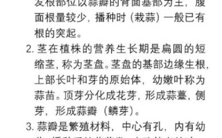 大蒜怎么种_大蒜种植时间和方法