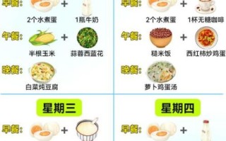 减肥套餐食谱_七天瘦十斤三餐怎么吃