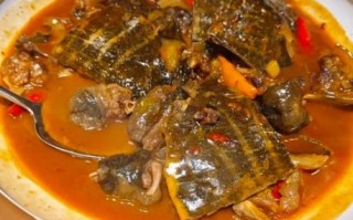 红烧甲鱼怎么做好吃_正宗川菜红烧甲鱼做法