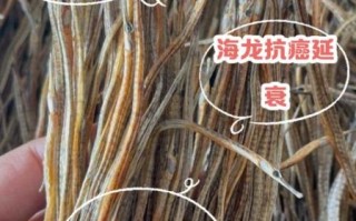 海龙鱼有什么功效_海龙鱼怎么吃最补肾