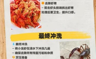 活的小龙虾怎么处理_活虾清洗步骤
