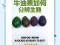 牛油果怎么判断熟了_牛油果怎么看熟没熟