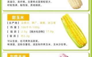 一根玉米的热量相当于多少米饭_减肥能吃玉米吗