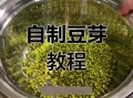 家庭自制绿豆芽的方法_绿豆芽怎么发最快