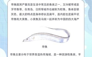 带鱼是海鱼吗_带鱼属于深海还是近海