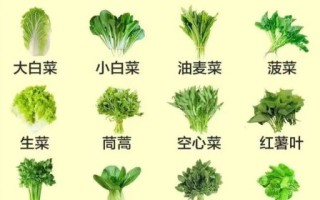 蔬菜品种大全名字有哪些_蔬菜图片大全怎么找