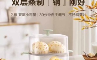 蒸蛋器好用吗_蒸蛋器哪个牌子好