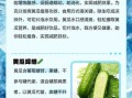 水煮黄瓜能减肥吗_水煮黄瓜的功效与作用
