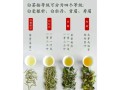 白茶属于什么茶_白茶是红茶还是绿茶