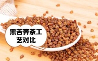 黑苦荞茶的功效与作用及禁忌症_黑苦荞茶能长期喝吗