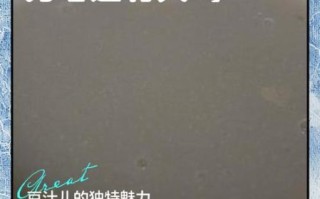 豆汁儿为什么恶心_豆汁儿难喝原因