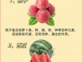 夏天吃什么水果好_夏季饮食养生方法