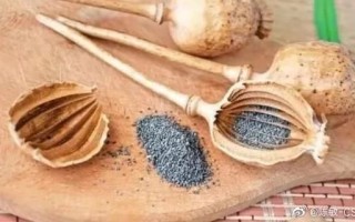 羊肉粉店掺罂粟杆_会被发现吗