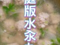 汽水肉丸怎么做_汽水肉丸为什么加汽水