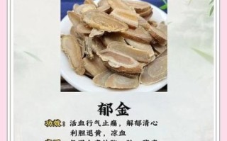 郁金的功效与作用_郁金禁忌有哪些