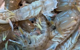 虾爬子怎么蒸_蒸多久才熟