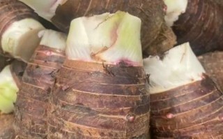 荔浦芋头怎么蒸才软糯_蒸荔浦芋头需要多长时间